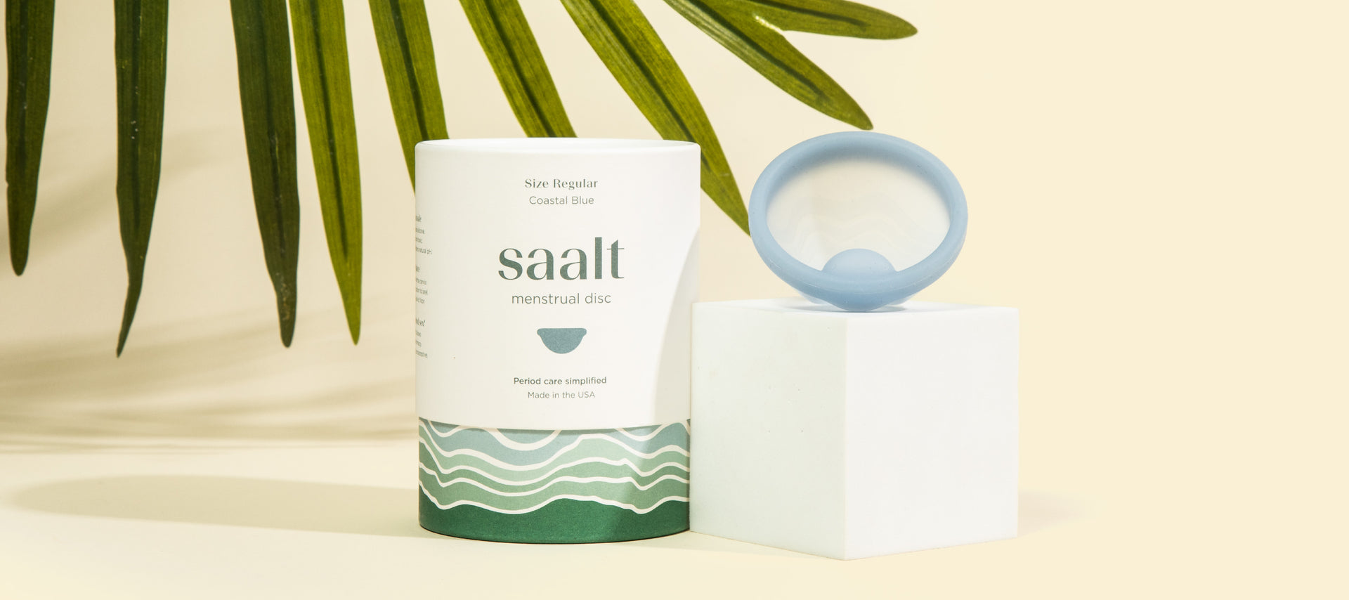 Disc Instructions | Saalt